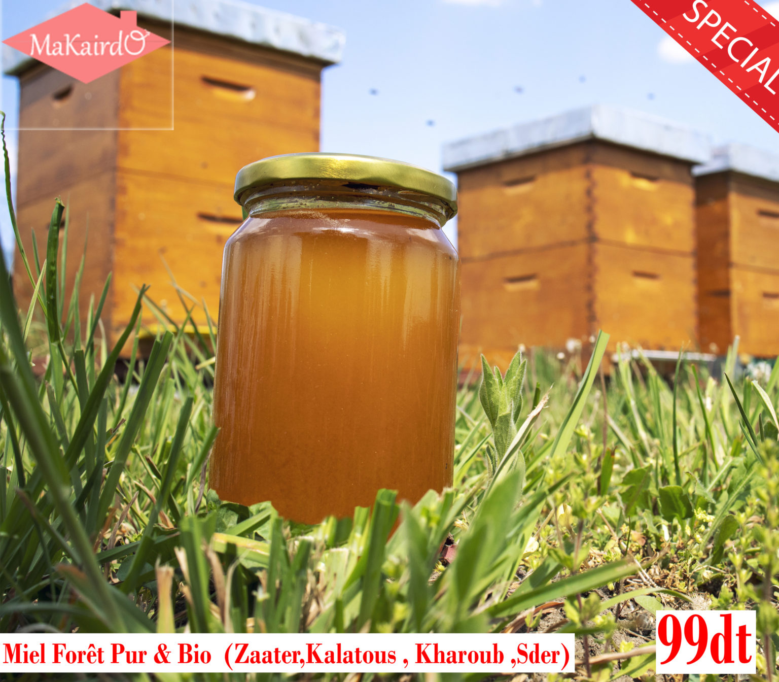 Miel de forêt Pur et Bio (Kalatous,Sder,Zaater,Kharoub) - Makroudh ...